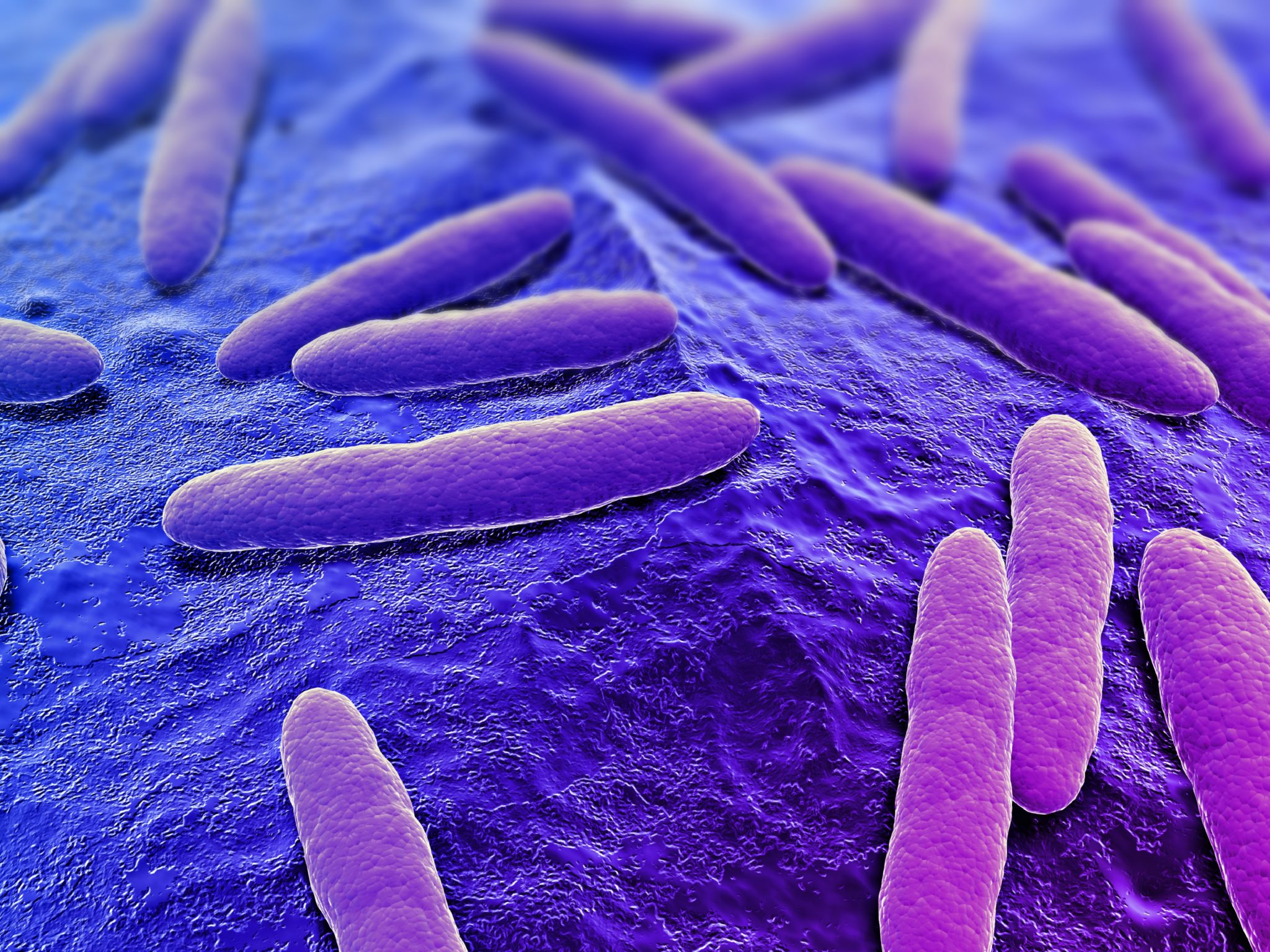 Superbactérias: O que são, Tipos, Reprodução, Sintomas e Tratamentos ...